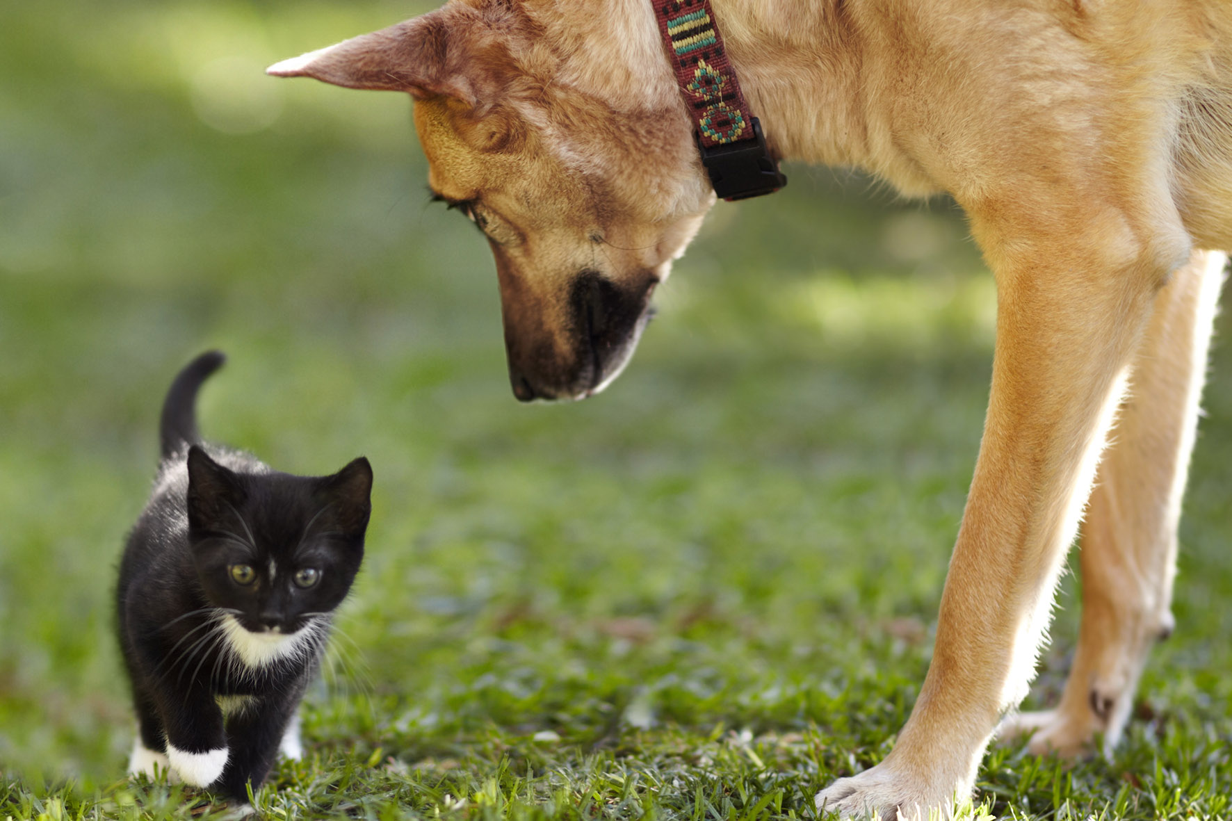 Your Top Tips for Being More Assertive - Mindtools