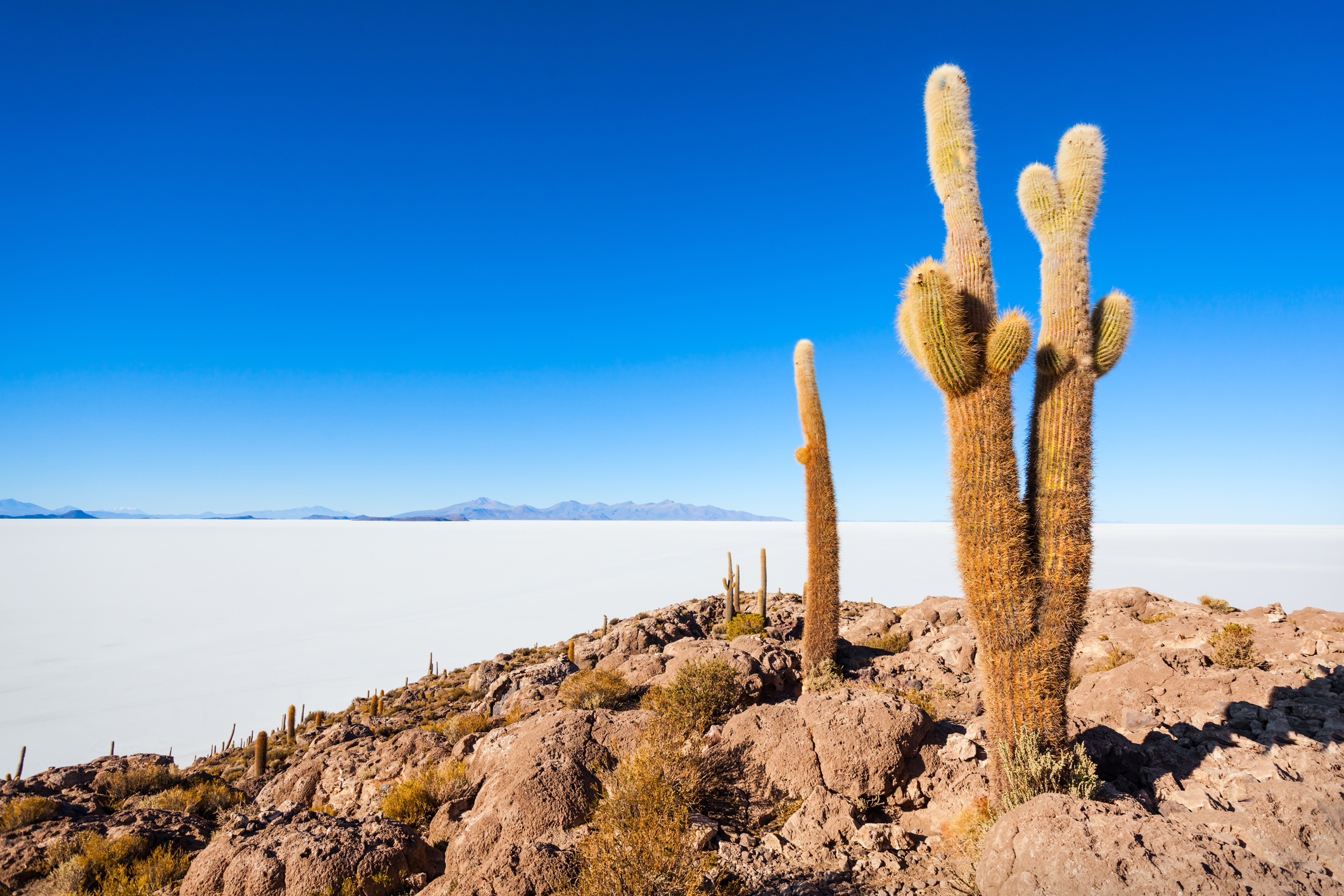 Longevity and the Workplace - Mindtools